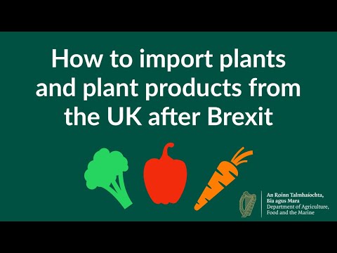 How to import plants and plant products from the UK after Brexit - webinar
