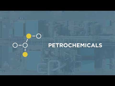 Our Business Units: Petrochemicals