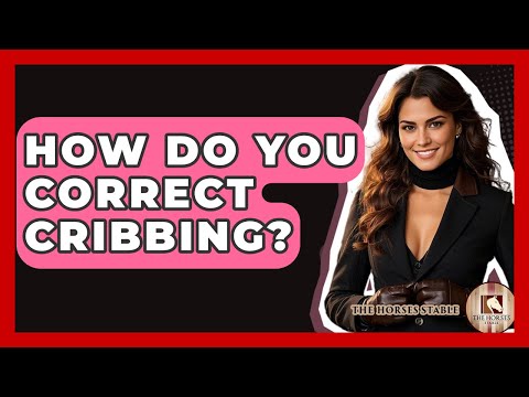 How Do You Correct Cribbing? - The Horses Stable