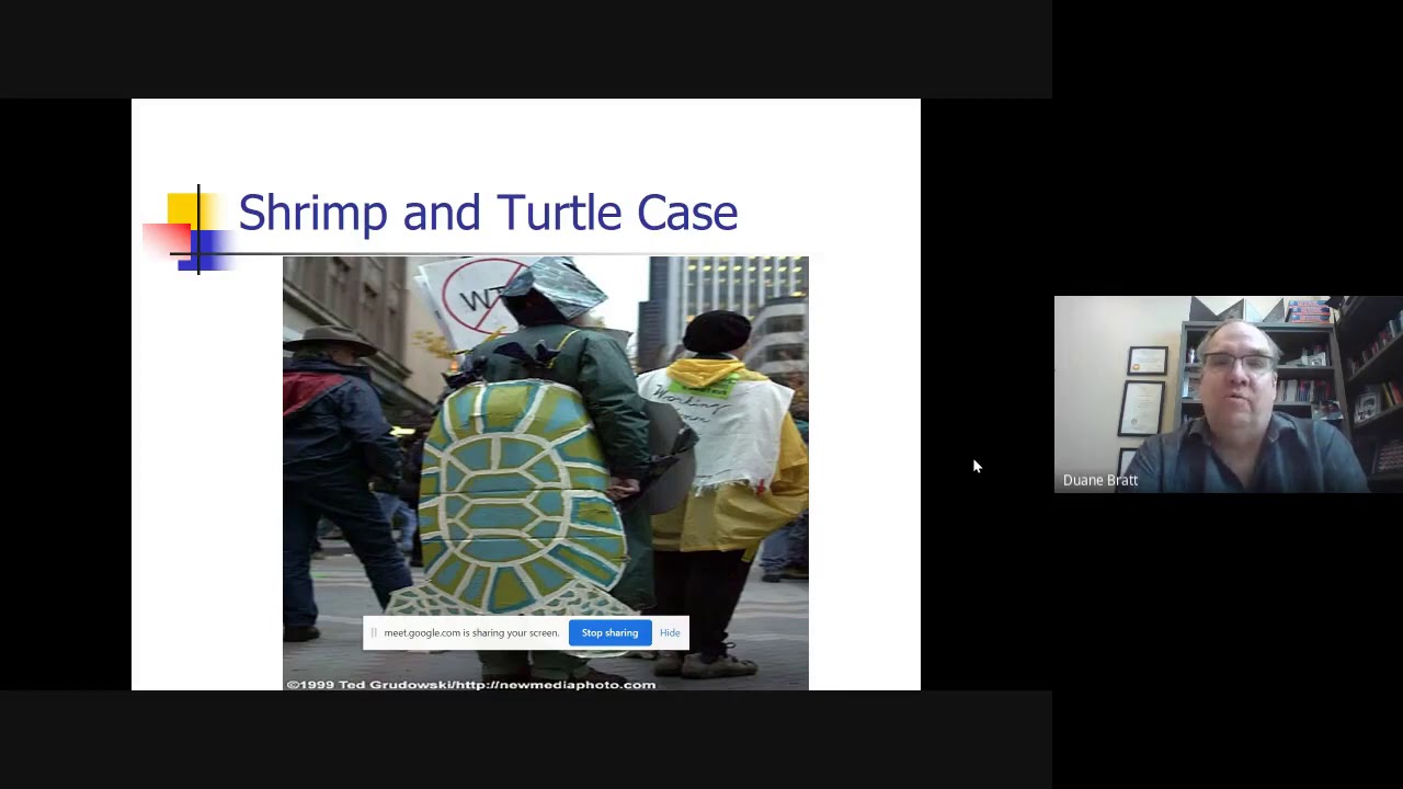 WTO ShrimpTurtleTunaDolphin