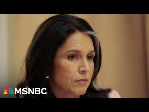 ‘Telling the truth can get you fired’: Tulsi Gabbard fires intel officials for contradicting Trump