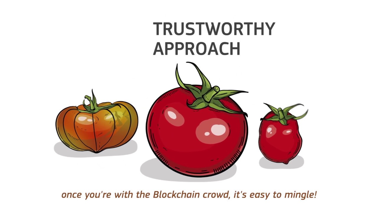 Blockchain in the agri-food sector