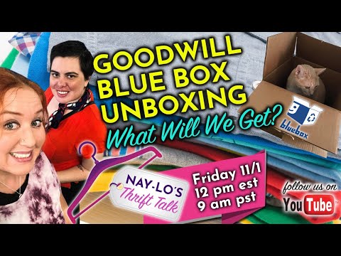Goodwill Blue Box Haul: What Will We Get? – Brittney Whitten