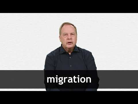 MIGRATION definition and meaning | Collins English Dictionary