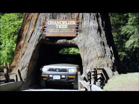 Adam and Amanda's Trip Across north America Part 7