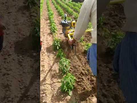 6 hp diesel power weeder//  Nexgen farming machineries