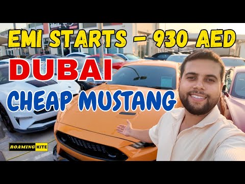 Dubai Cheap Mustang Price | Dubai Second Hand Mustang | Dubai Second Hand Car Market