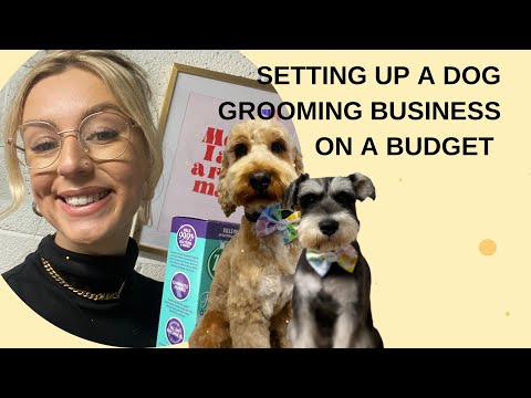 HOW TO SET UP YOUR GROOMING BUSINESS ON A BUDGET | Pet grooming | Small business