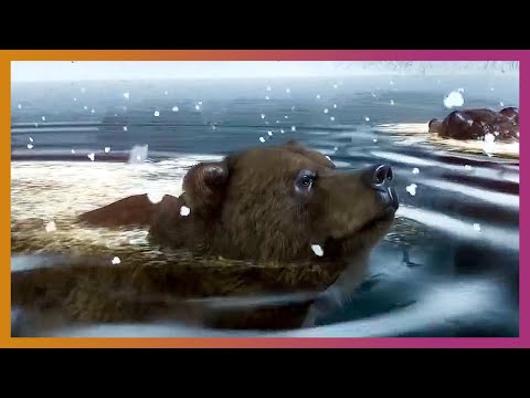 🦁 Weather System Deep Dive | Planet Zoo Update