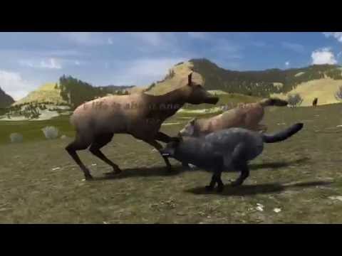 Steam Community :: WolfQuest: Classic