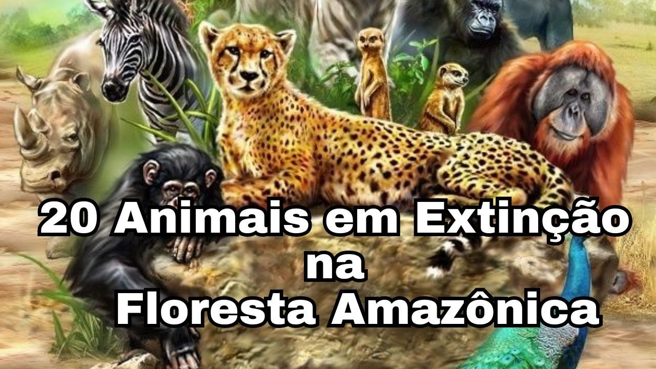 Você sabia que tem mais de 20 Animais em Extinção na Floresta Amazônica