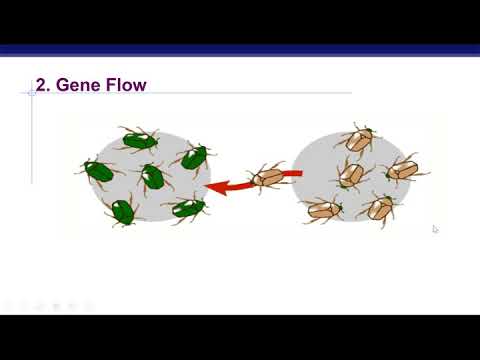 Mechanisms of Evolution