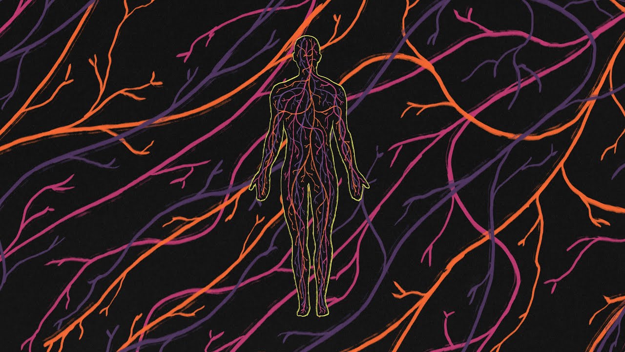 Music video