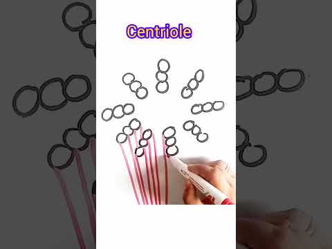 Centriole #reels