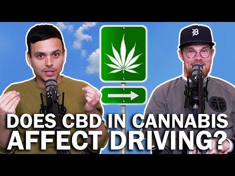 Does CBD affect your ability to drive?