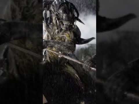 Alien: Romulus 2 – Sequel's Script Includes Predator, Says Insider