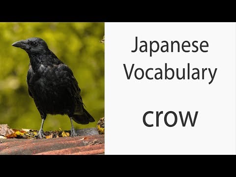 How to say "Crow" (raven) in Japanese