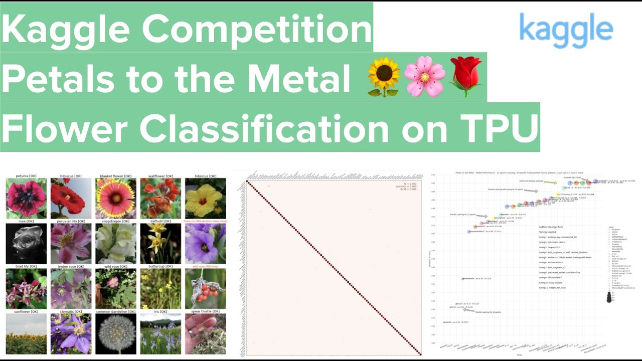 Kaggle Mini Courses - Petals to the Metal🌻🌸🌹 + Cassava Leaf Classification