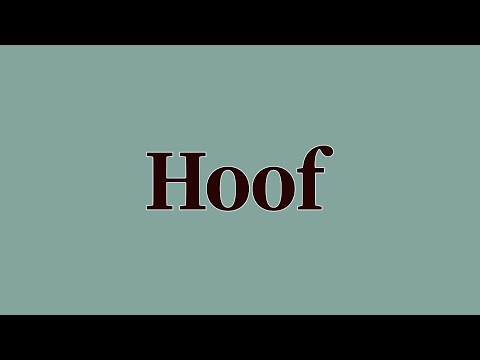 Hoof Meaning and Pronunciation