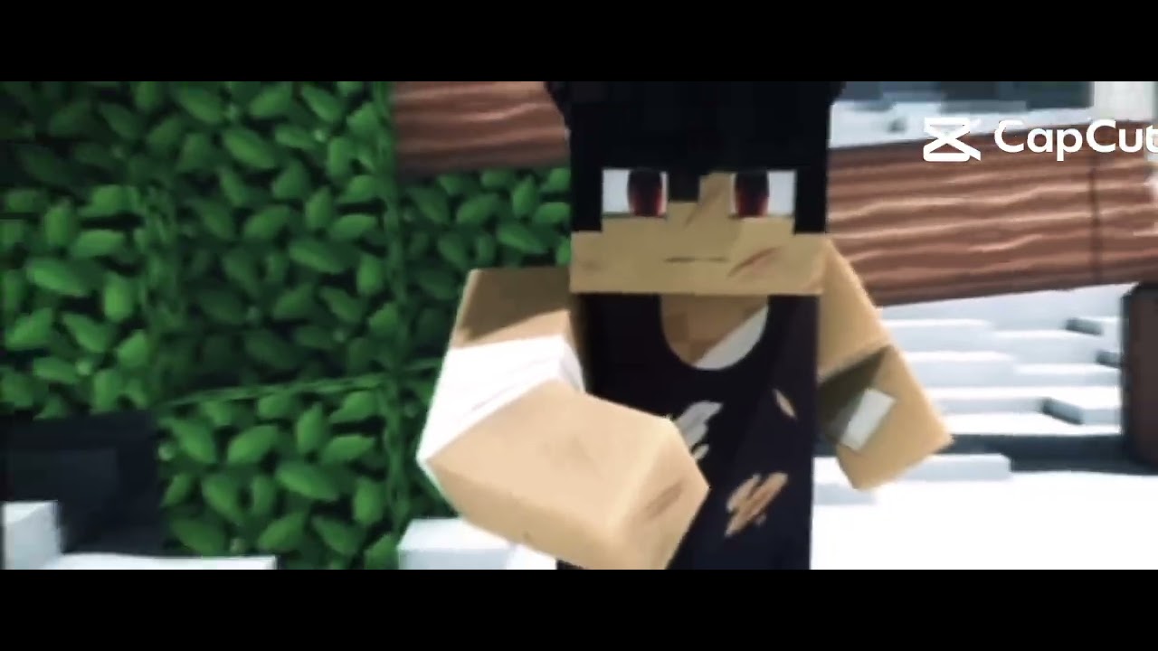 Aphmau,Aaron,Ein