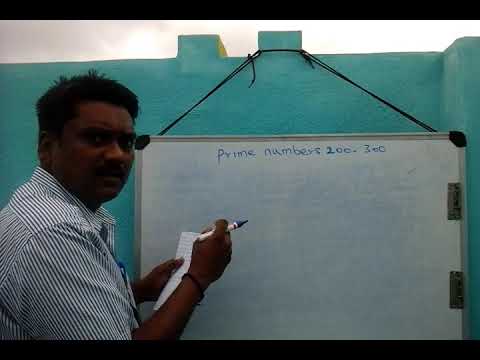 PRIME NUMBERS 200-300