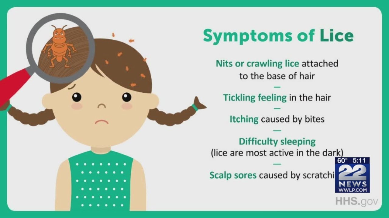 How to identify common bug bites and stings