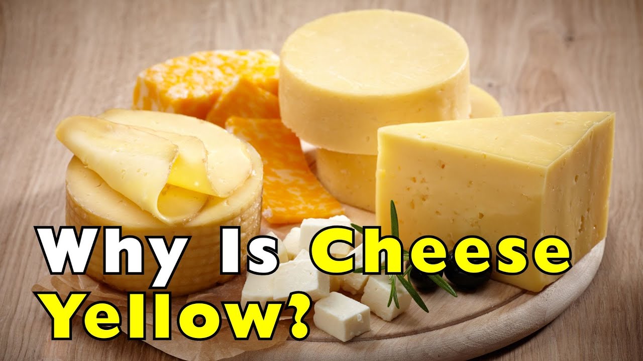 Why Is Cheese Yellow When Milk Is White?