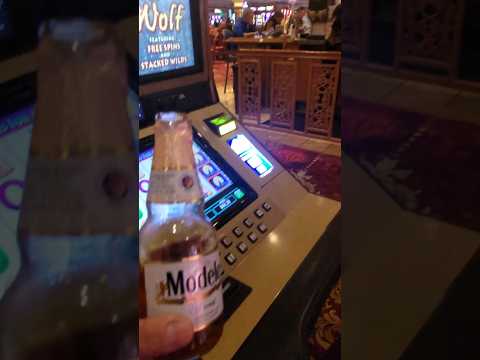 WHO DRINKS MODELO BEER