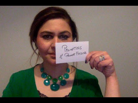 Prompting and Fading