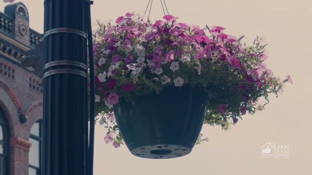 Let's Explore Downtown Winona, Minnesota!
