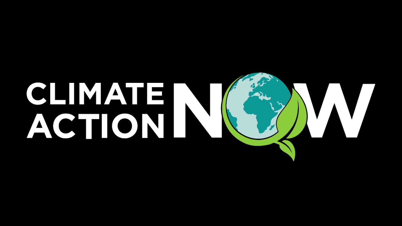 Getting Started with Climate Action Now