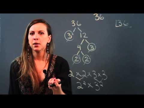 What Are Two Ways to Find Prime Factorization?