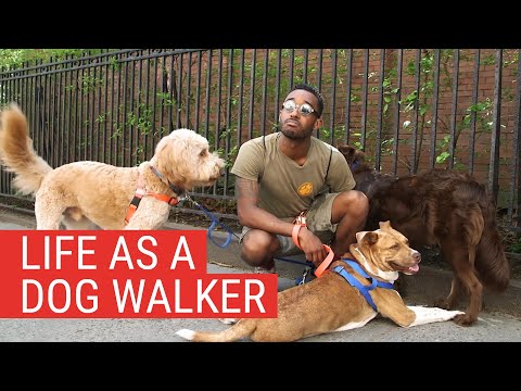 Making It in NYC as a Dog Walker | My Everyday Hustle | Chasing the Dream PBS