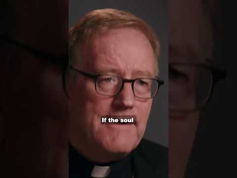 What Is the Soul?