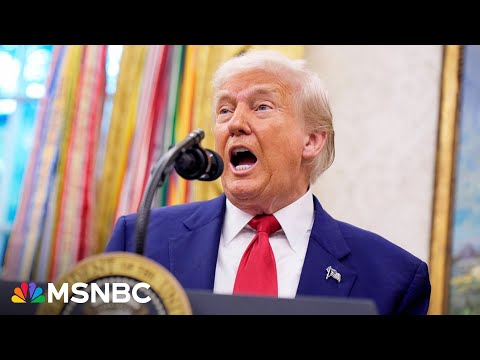 'TACO Tuesday': Democrats hand out free tacos to troll Trump over tariff jab