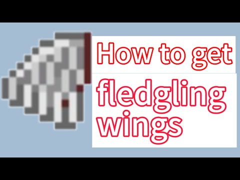 seed for fledgling wings in terraria 1.4.4.9.5 mobile