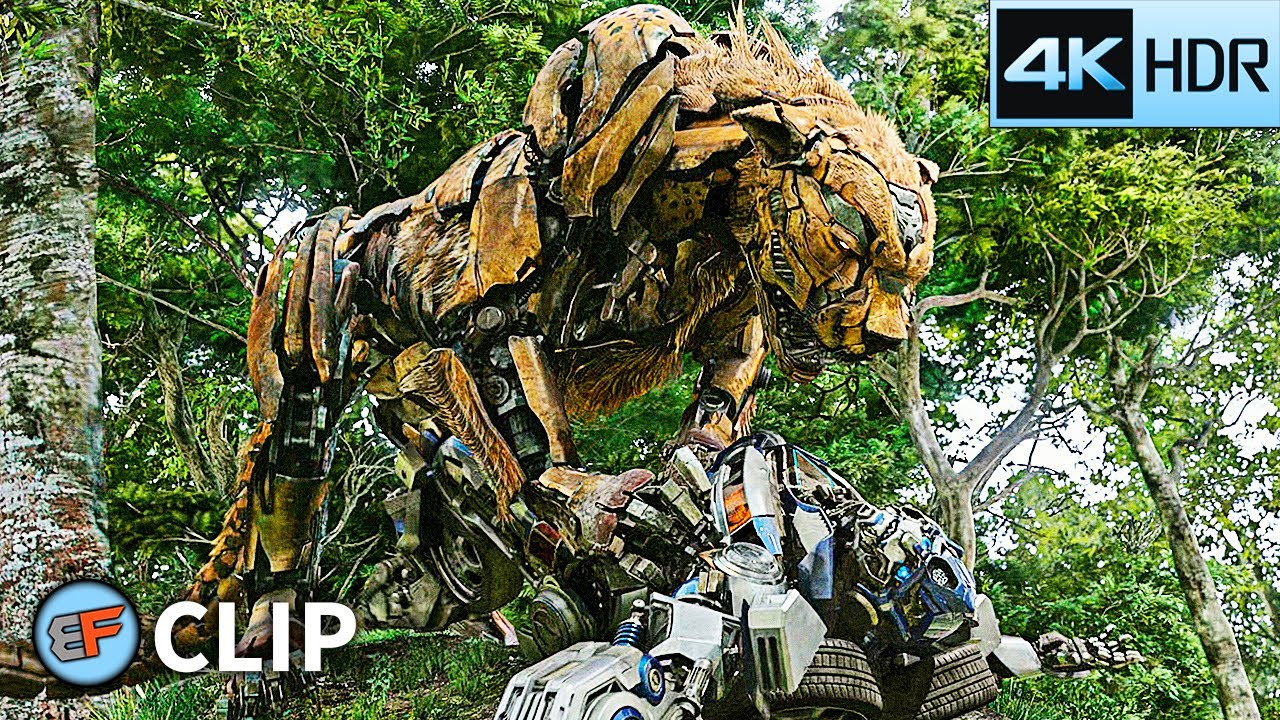 Autobots Meet Maximals Scene | Transformers Rise of the Beasts (2023) 4K HDR Movie Clip