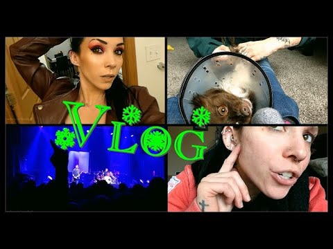VLOG: December 8th-15th | What's wrong w/Avril?, Work Morning Routine, Chevelle, & MORE!