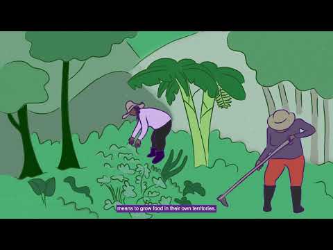 What is a Feminist Economy? Video animation