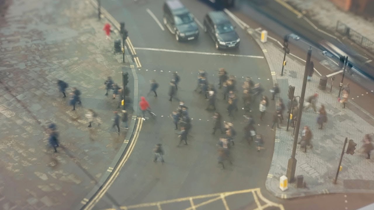 Behavioural Science: Understanding the Human