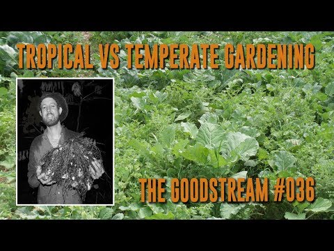 Tropical Vs. Temperate Gardening (Goodstream #036)