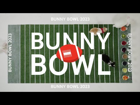 A bunny picks its favorite Super Bowl ad theme — and it’s unFURgettable | YouTube Ads
