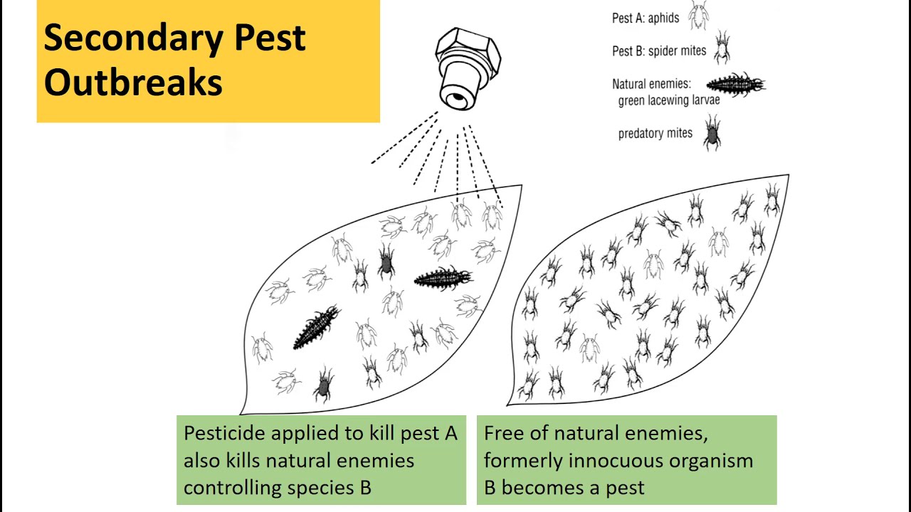 The Integrated Pest Management Concept