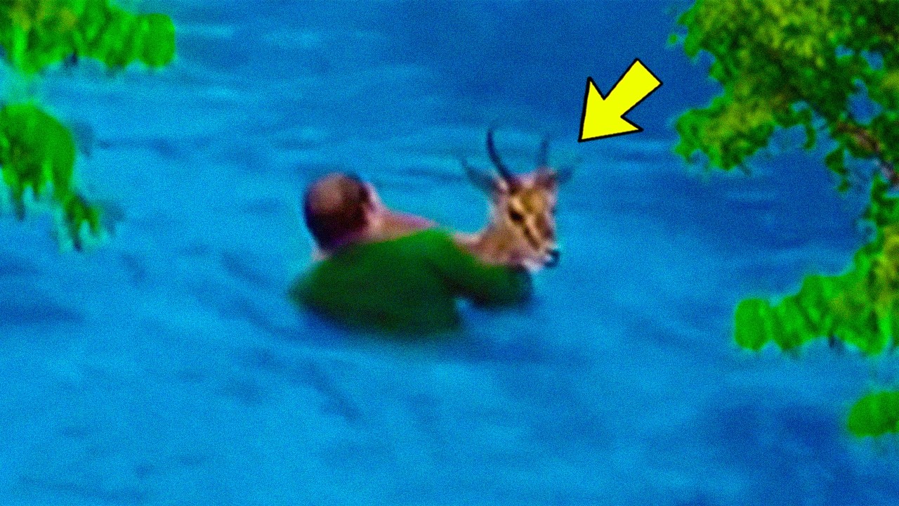 Zoo Refuses to Save Drowning Antelope — So a Man Dives In & Does the Unimaginable!