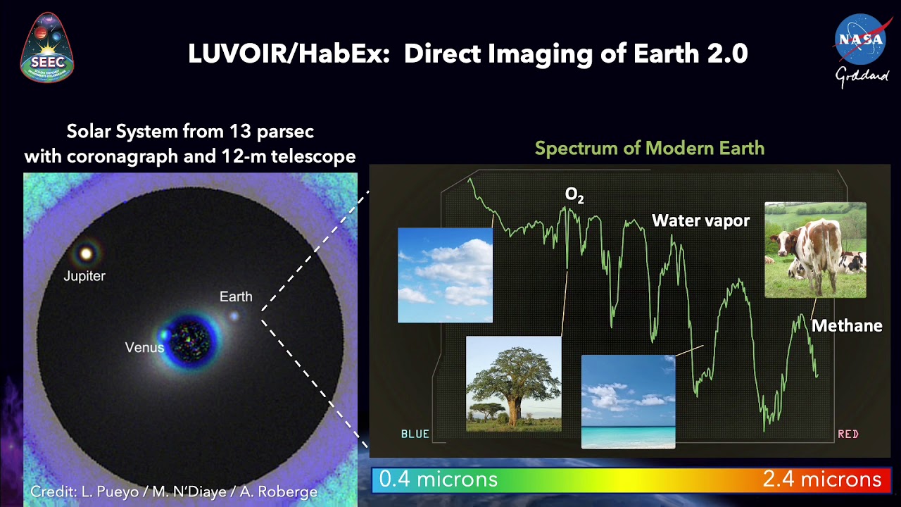 A Roadmap to the Exploration of Rocky Exoplanets