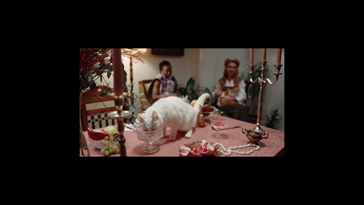Drinking cat|wildlife habitate