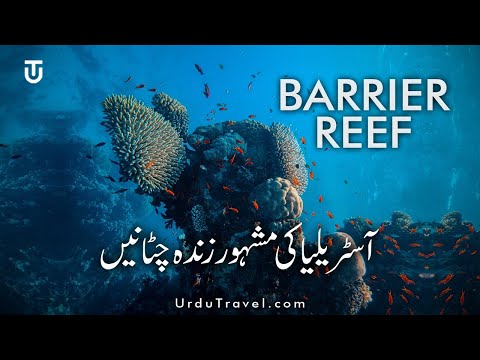 Great Barrier Reef, Coast of Queensland, Australia | Facts, History & Travel Guide | Urdu / Hindi