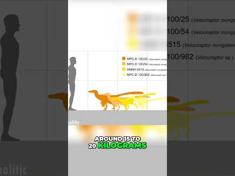 Breathtaking Tarbosaurus and Velociraptors A Cretaceous Encounter