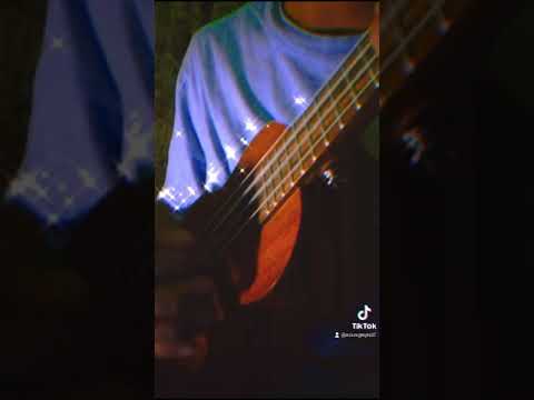 the loser - verzache [ukulele cover/tiktok song]