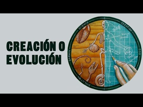 Creación o Evolución – Através de las Escrituras